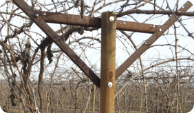 Agriculture Stakes and Posts |Phoenix Enterprises | California